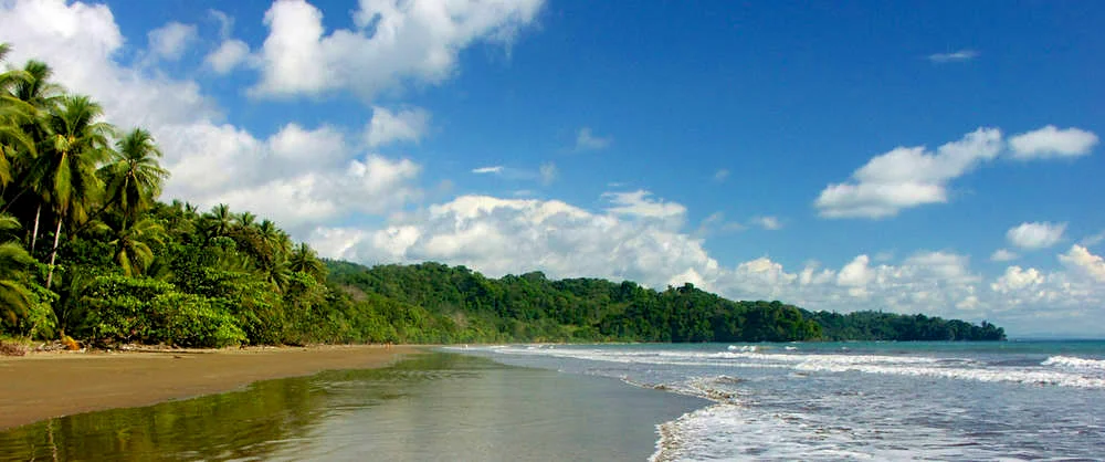 What Is Costa Ballena? — Costa Concierge Car Rental Costa Rica