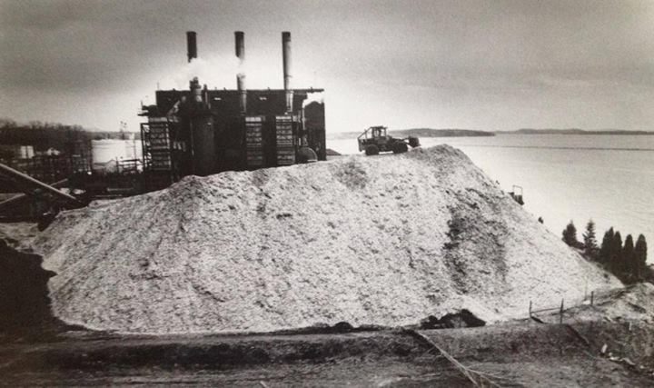 SMITH BUCKLEY ARCHITECTS,MORAN PLANT