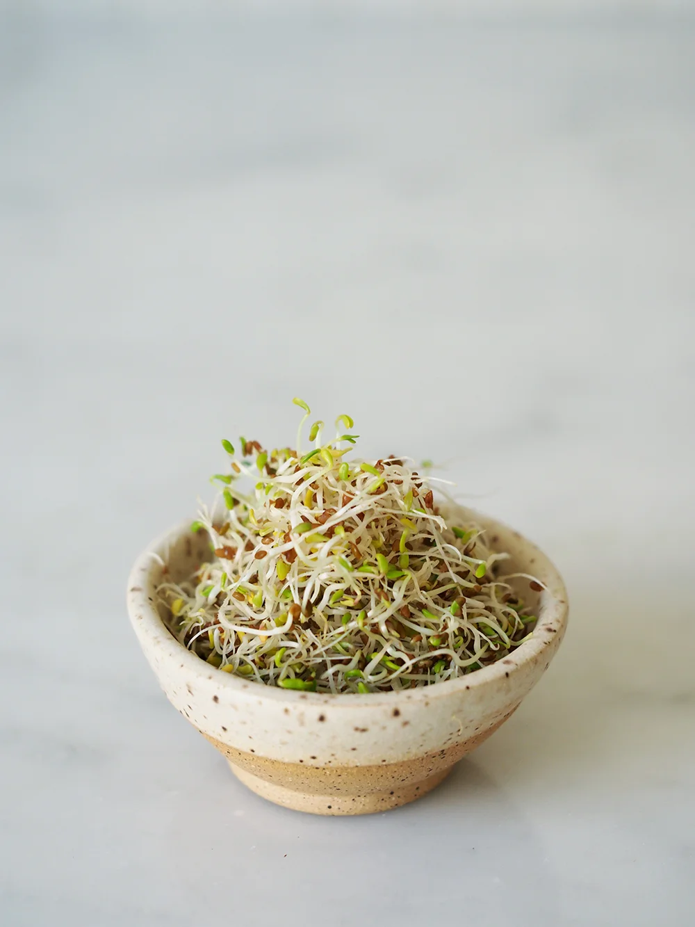 An Essential Guide to Sprouting