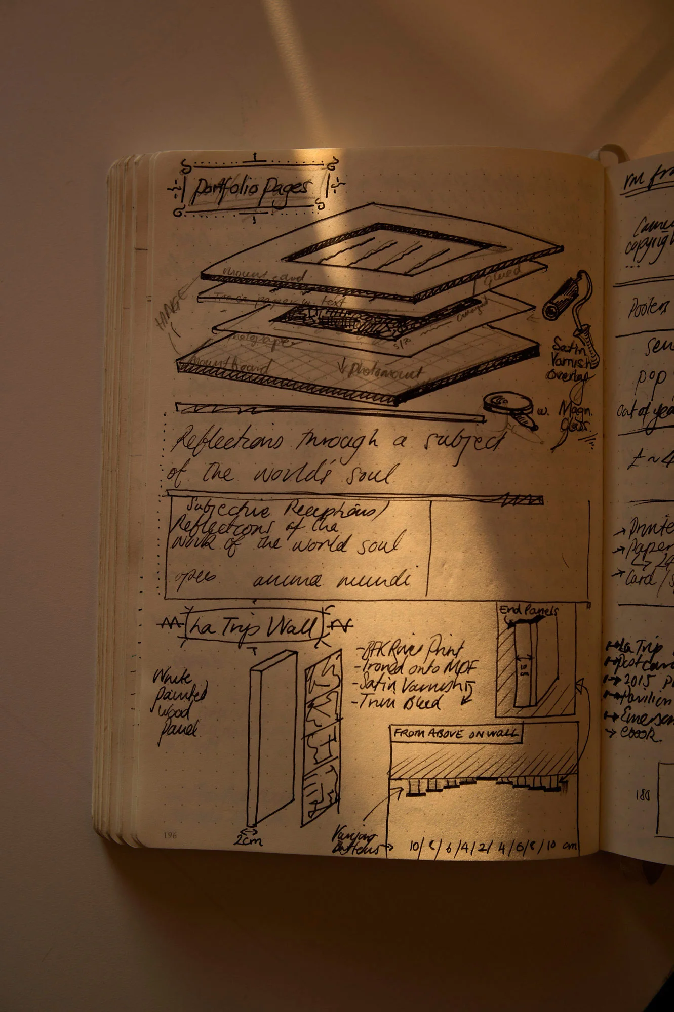 Golden Dawn — Cameron Maynard