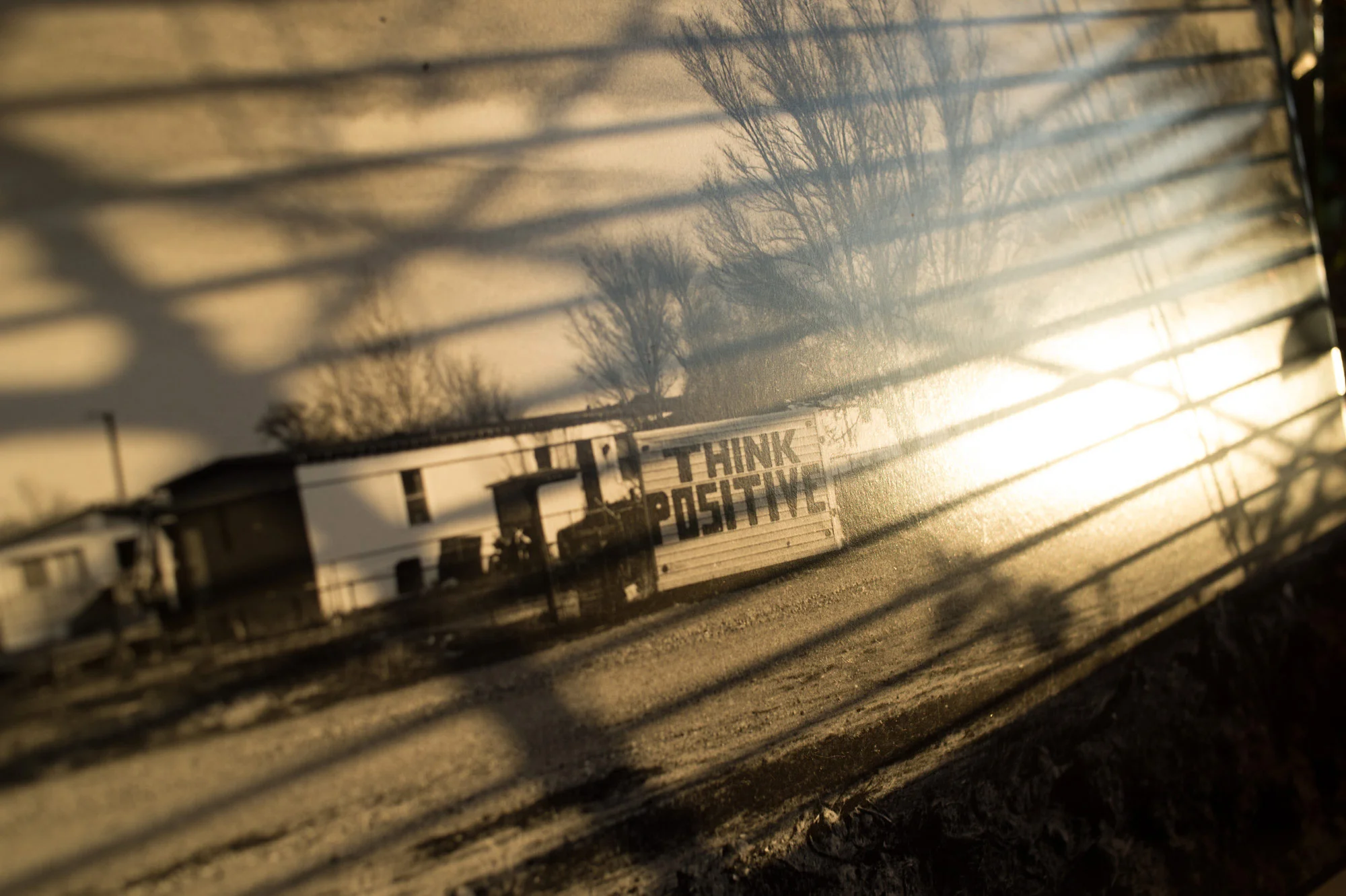 Golden Dawn — Cameron Maynard