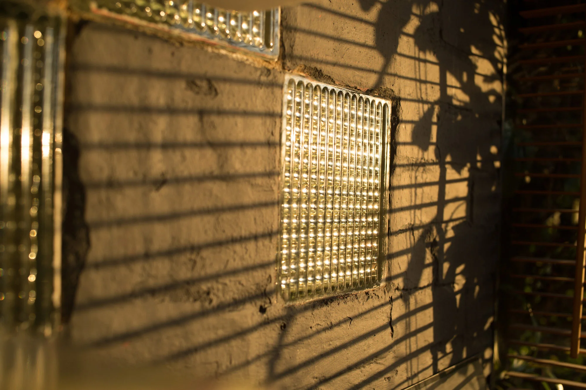 Golden Dawn — Cameron Maynard