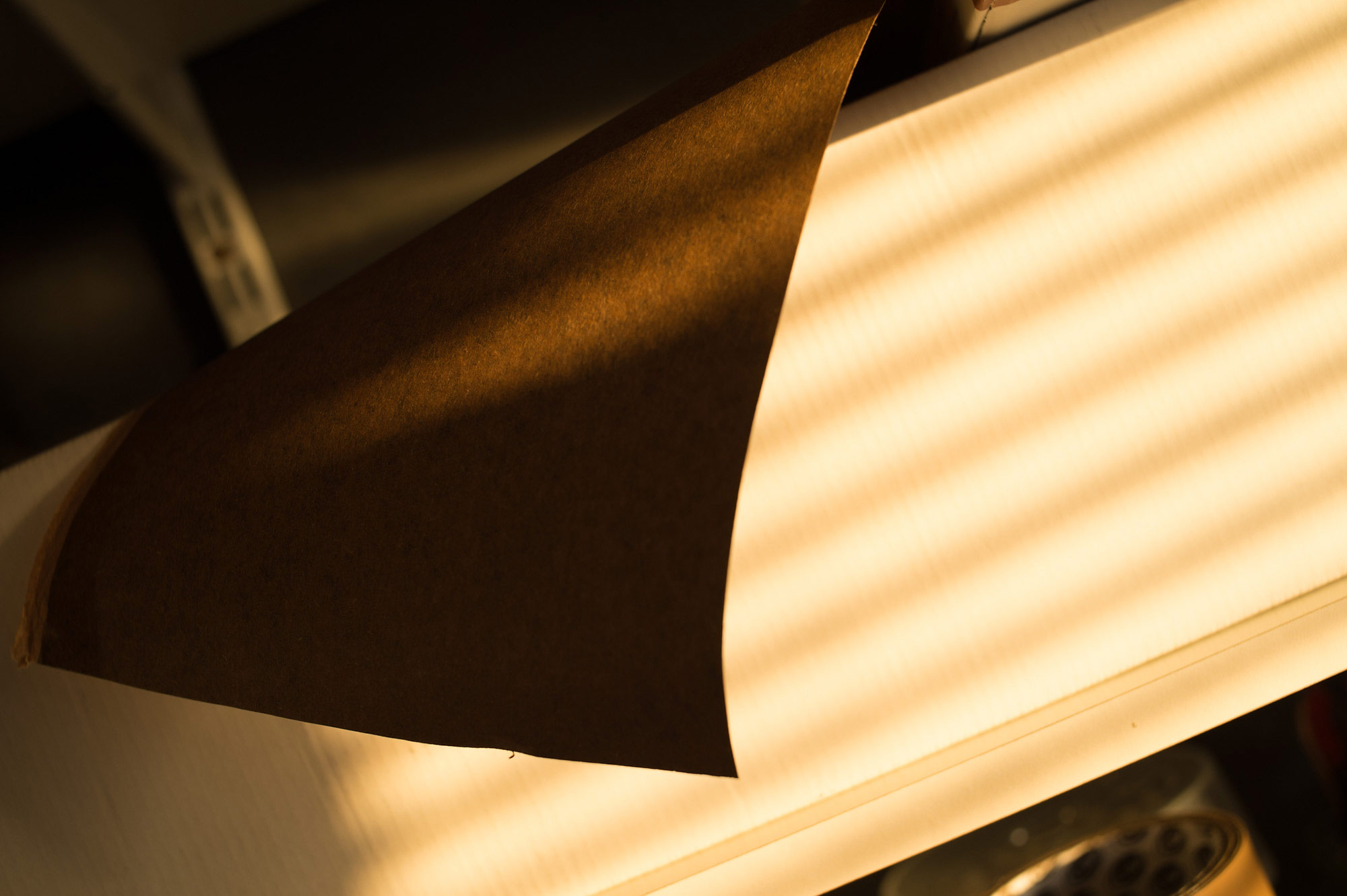 Golden Dawn — Cameron Maynard