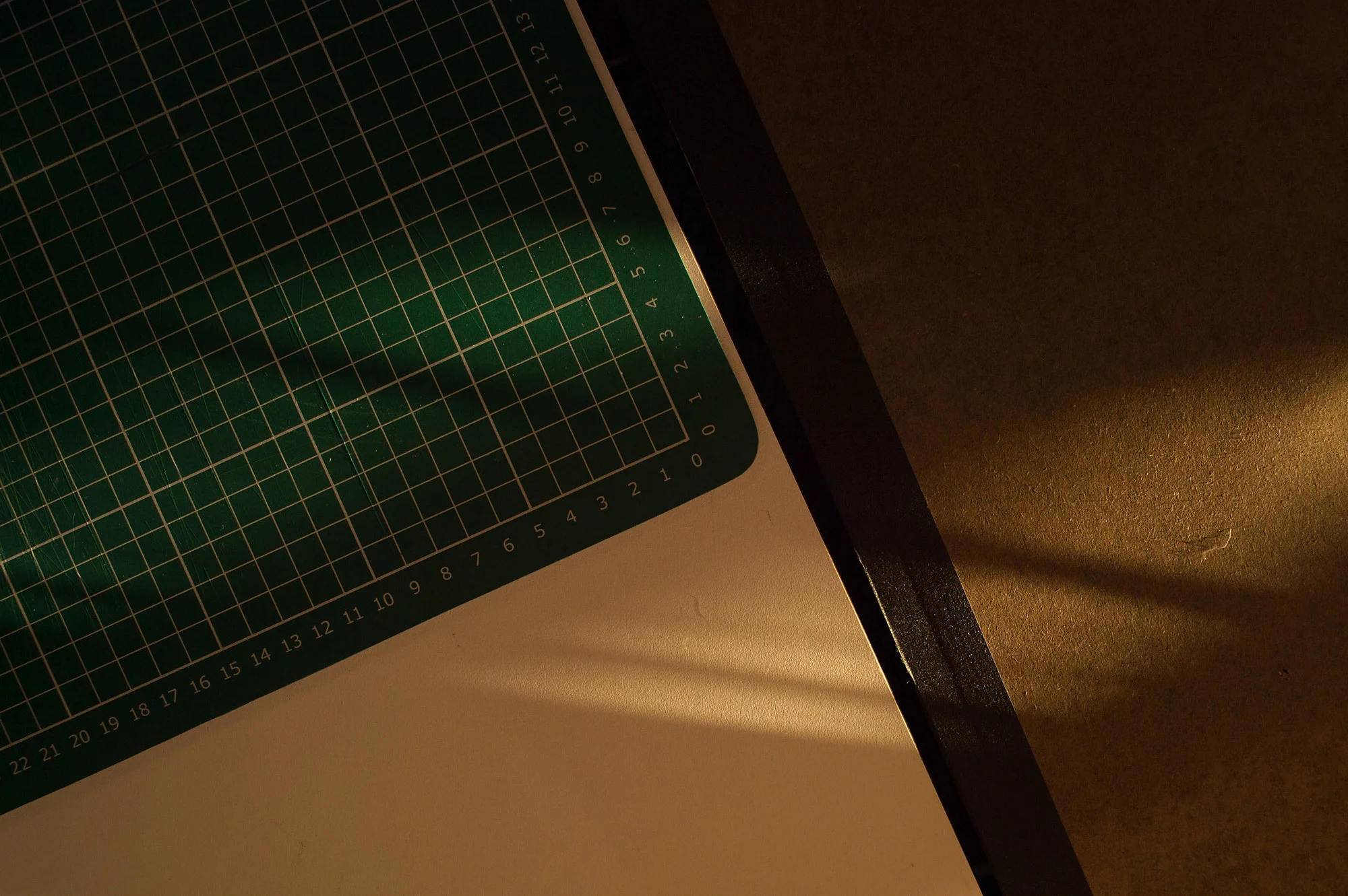 Golden Dawn — Cameron Maynard