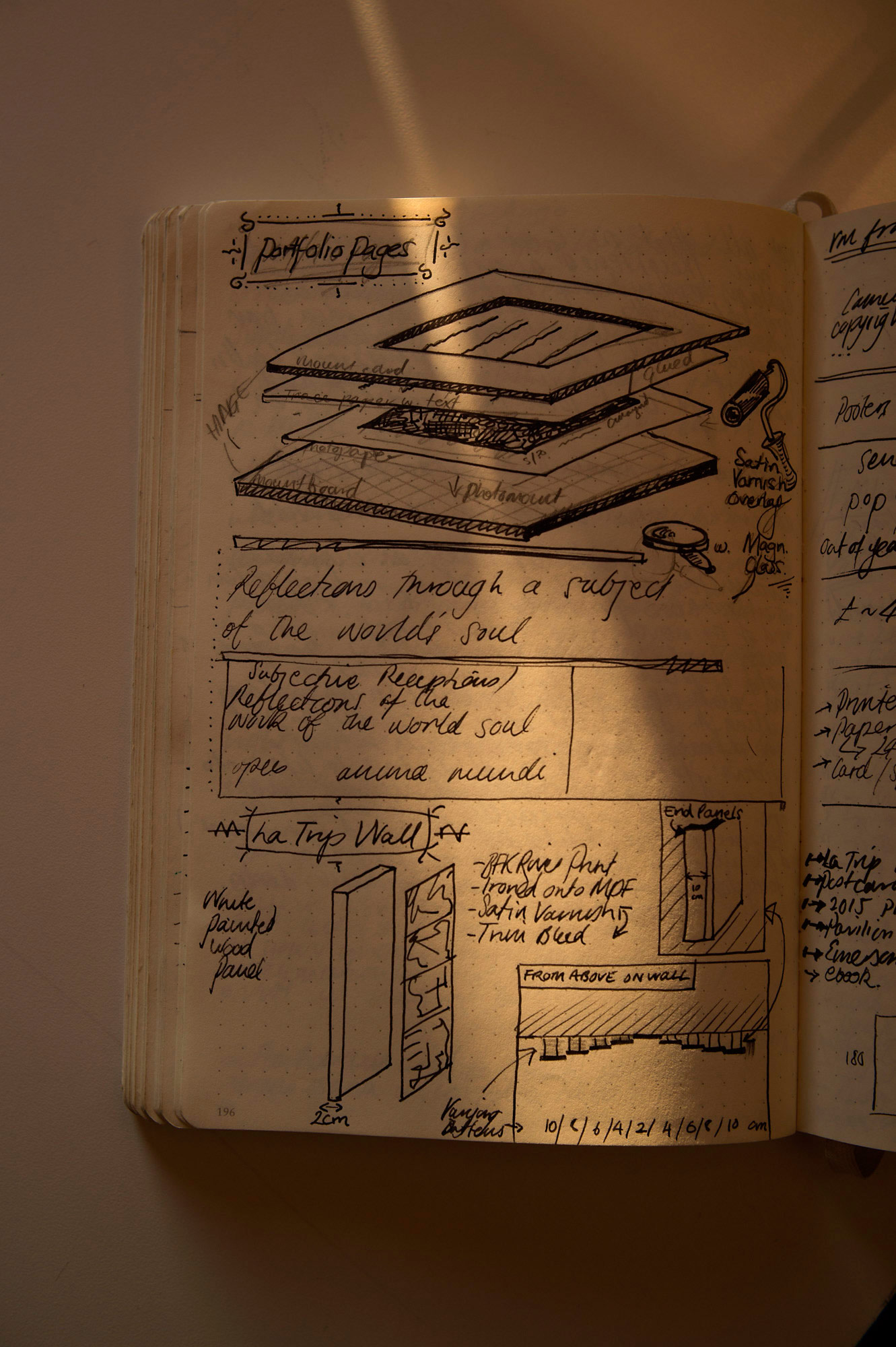 Studio — Cameron Maynard