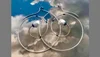 Earrings — Object Design Studio