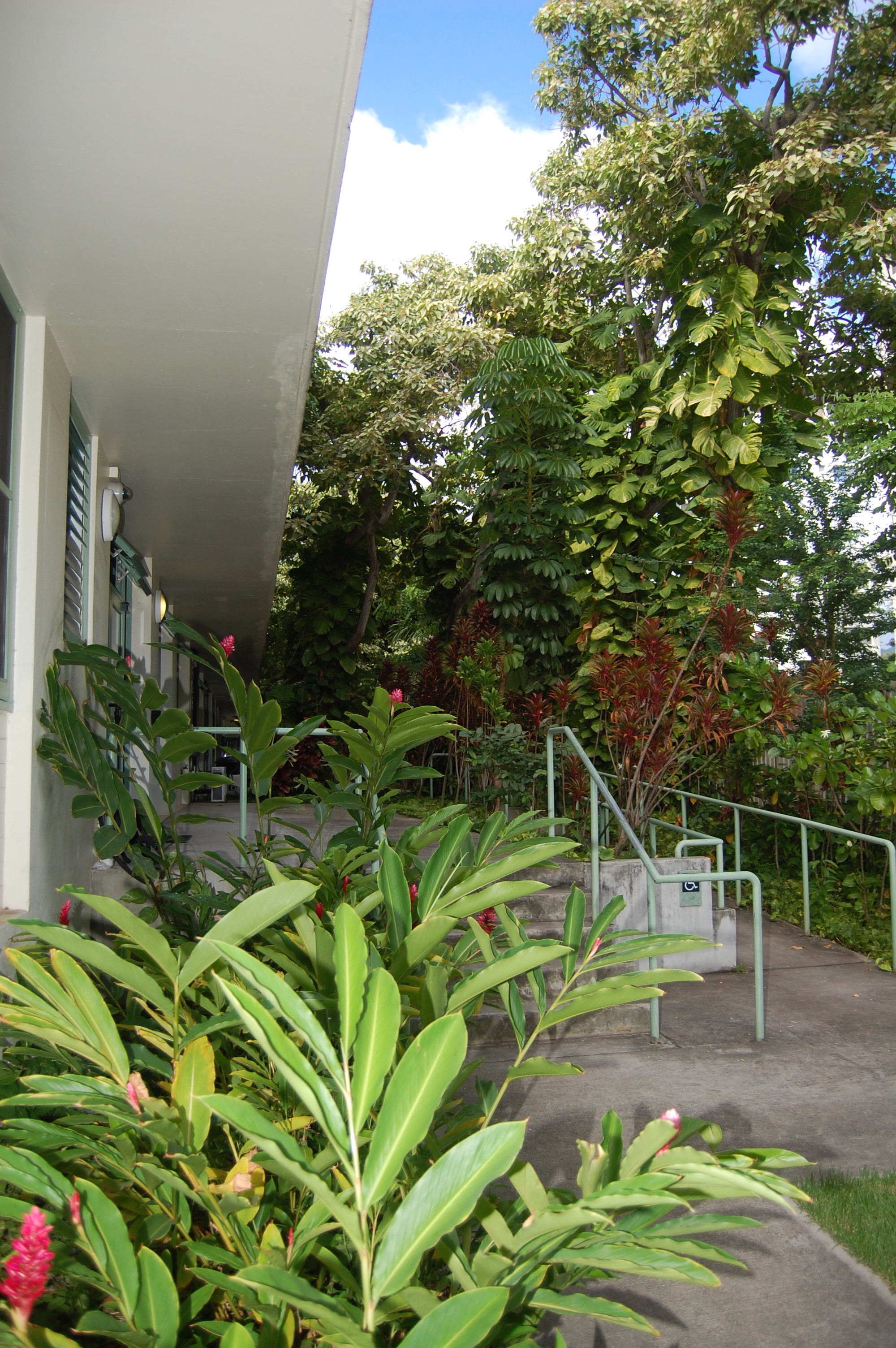 Fernhurst — YWCA O‘ahu