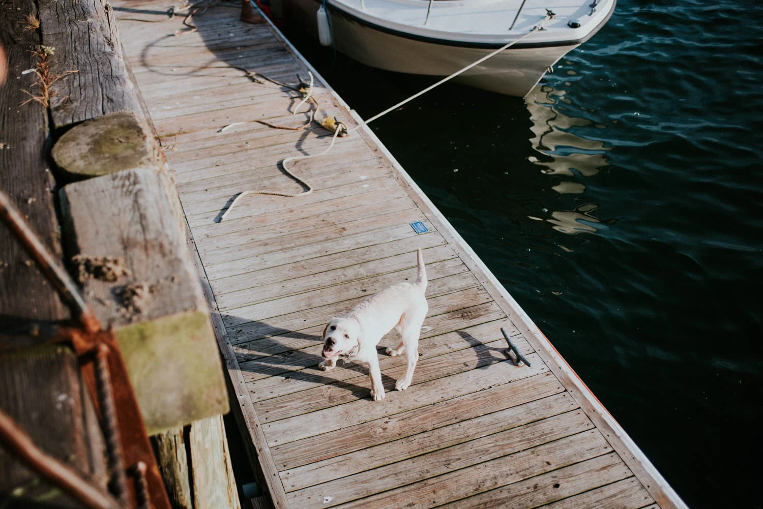 Roger — CAIT BOURGAULT PHOTOGRAPHY