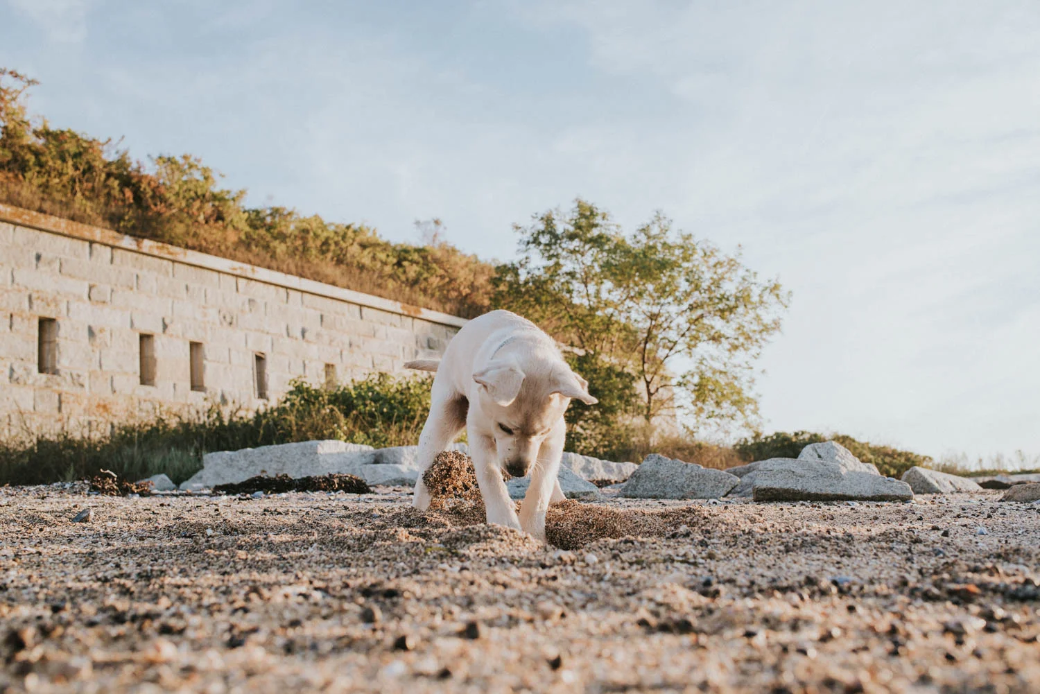 Roger — CAIT BOURGAULT PHOTOGRAPHY