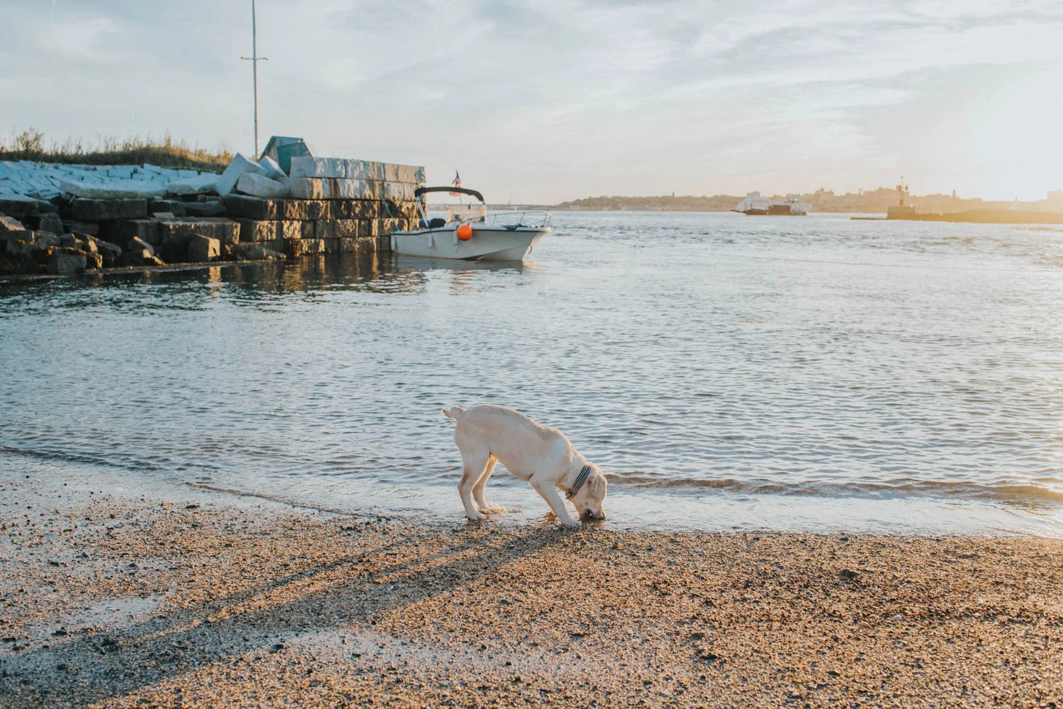 Roger — CAIT BOURGAULT PHOTOGRAPHY