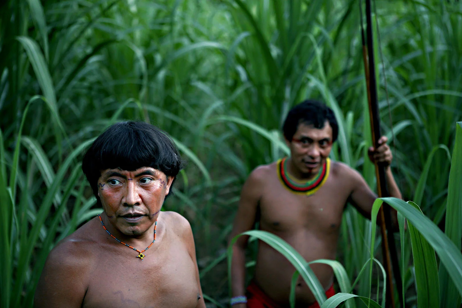 Yanomami — Thomas Nilsson