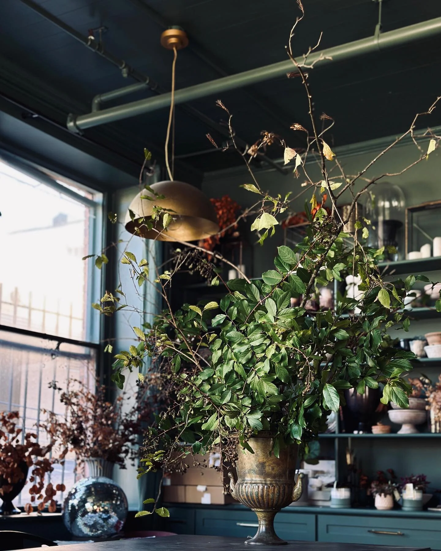 Enemies Inspired - Athena Calderone — Enemies of the Average Ginny ...