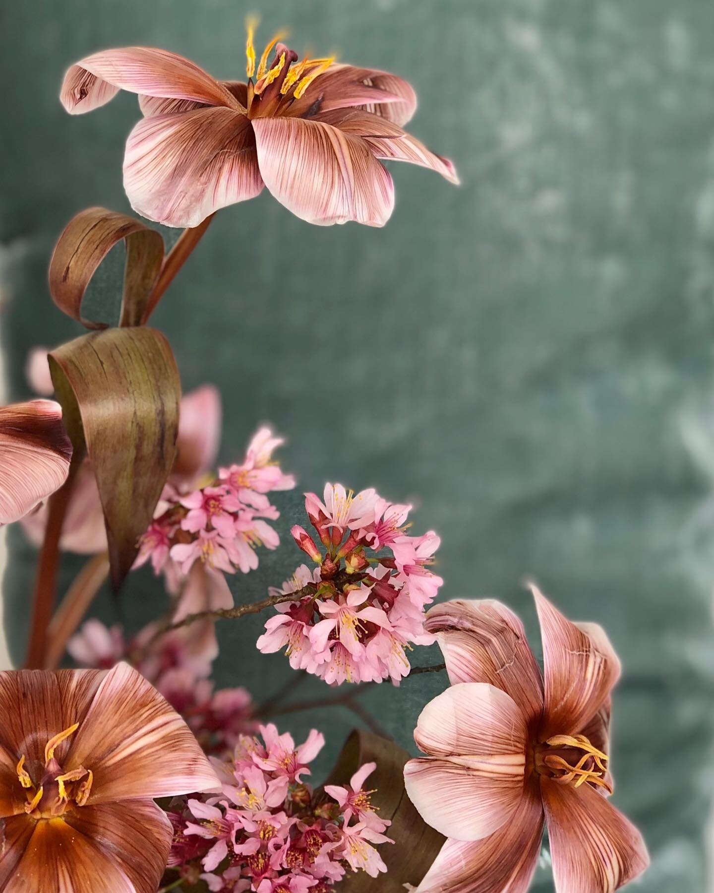 Enemies Inspired - Athena Calderone — Enemies of the Average Ginny ...