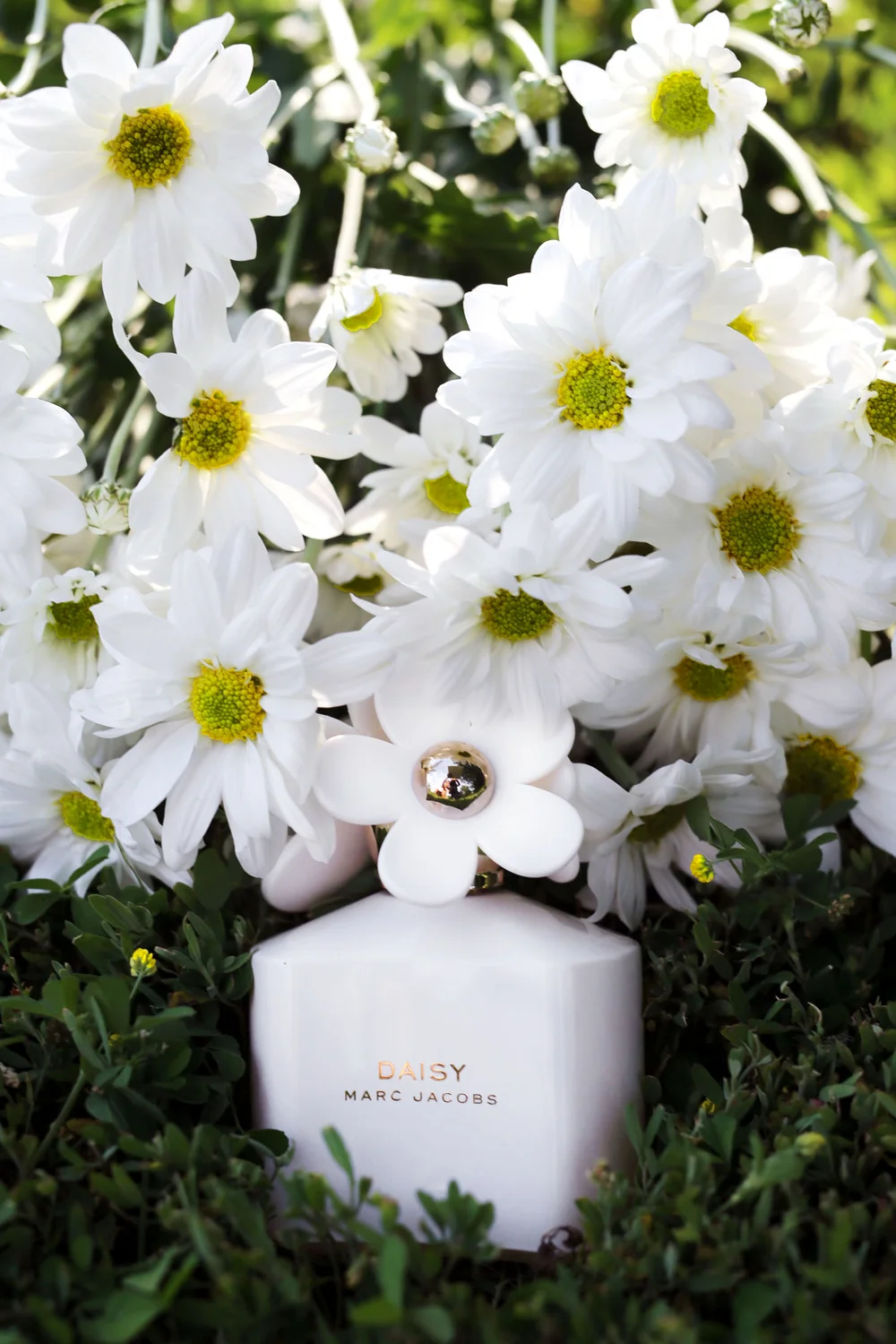 Marc Jacobs Daisy Celebrates 10 years with a limited edish bottle ...