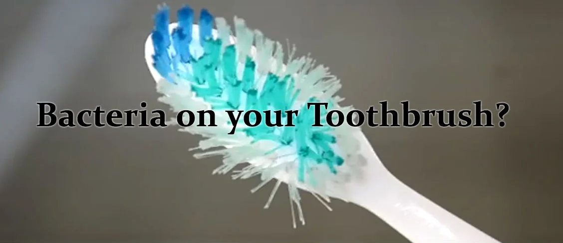 Bacteria on your toothbrush?