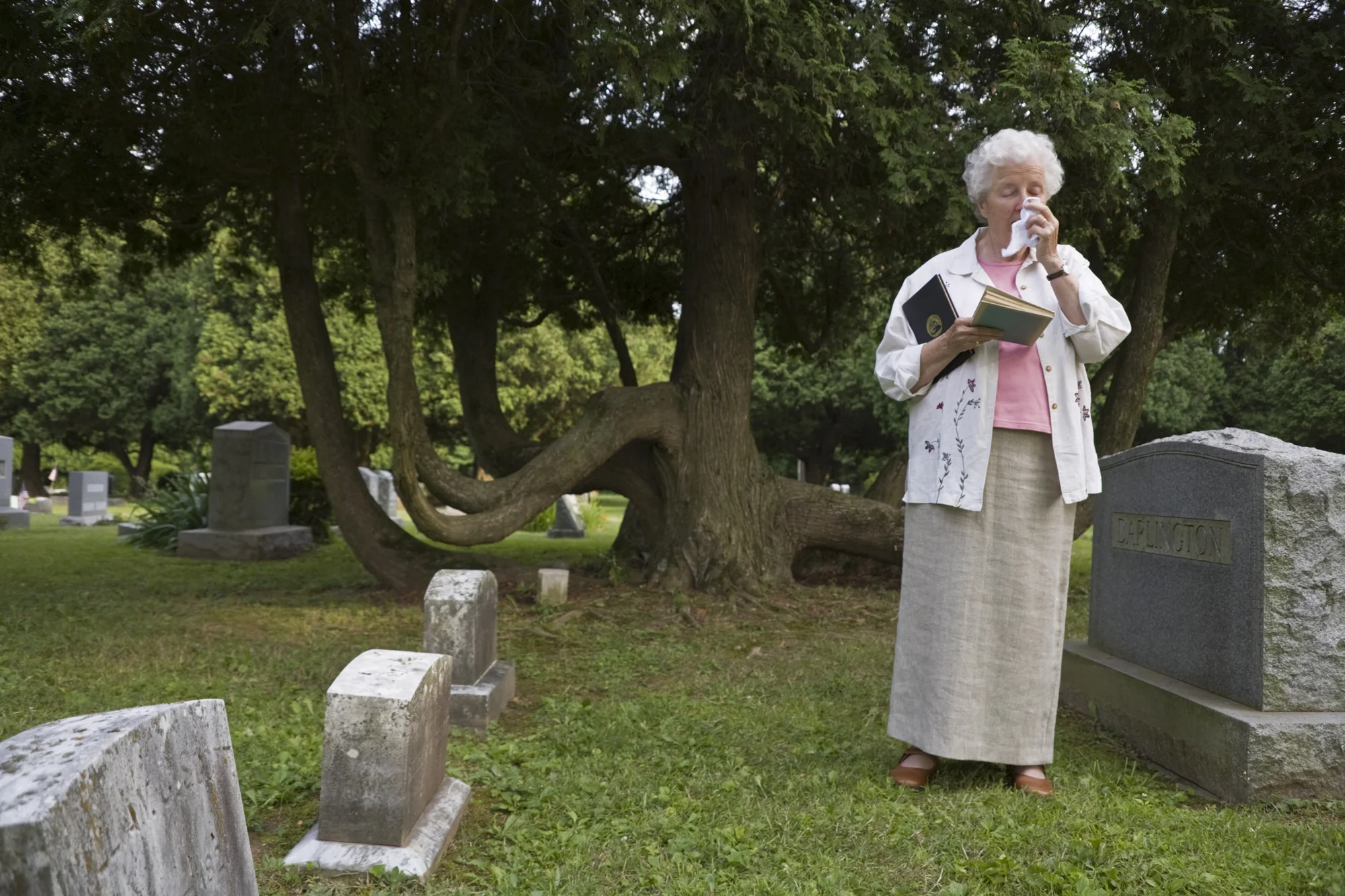 Rick Davis Photo-Work