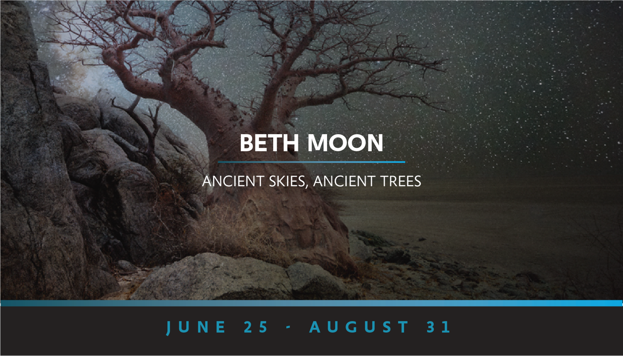 Past Exhibitions — The Citadelle Art Museum