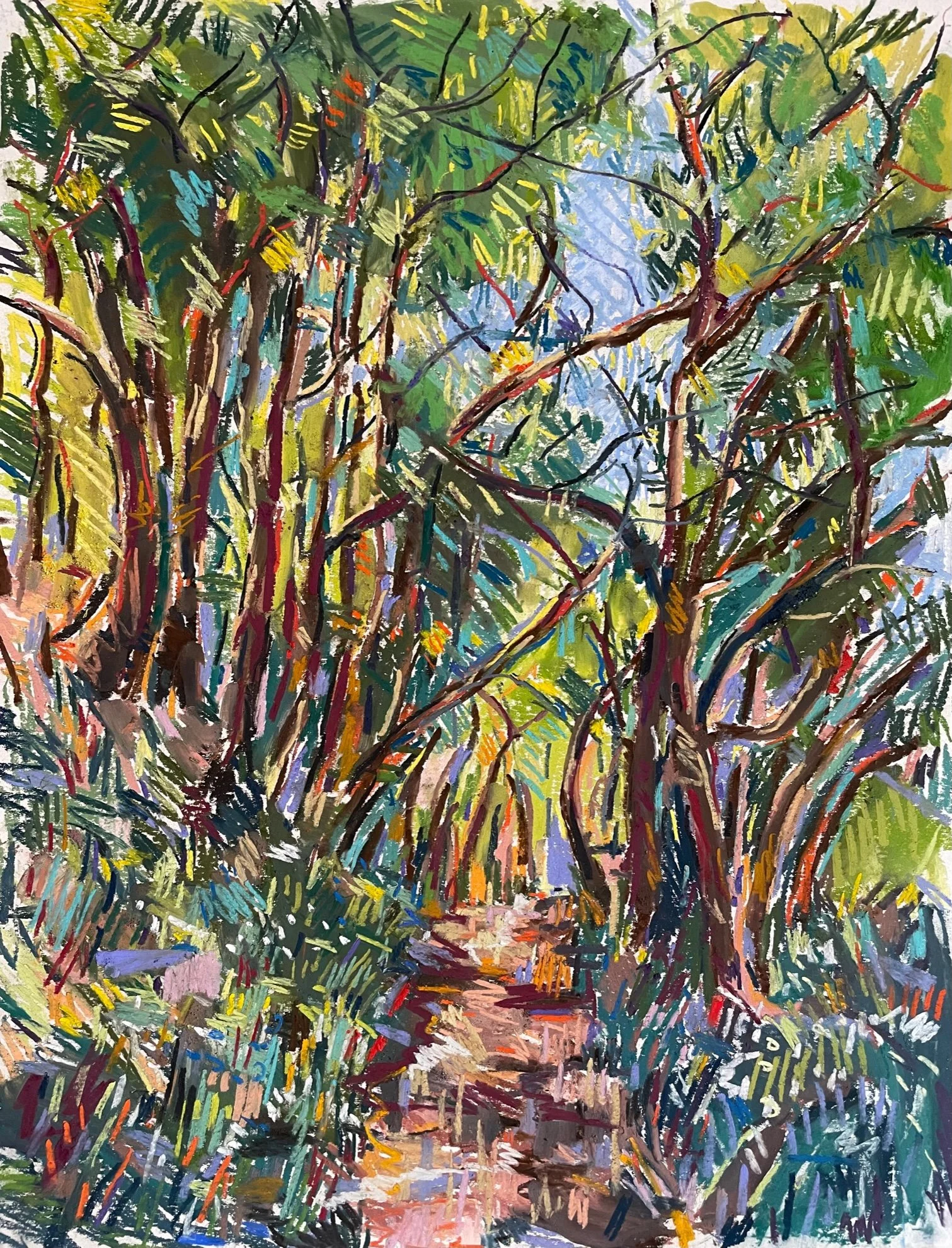 rural landscapes — Amy Shuckburgh