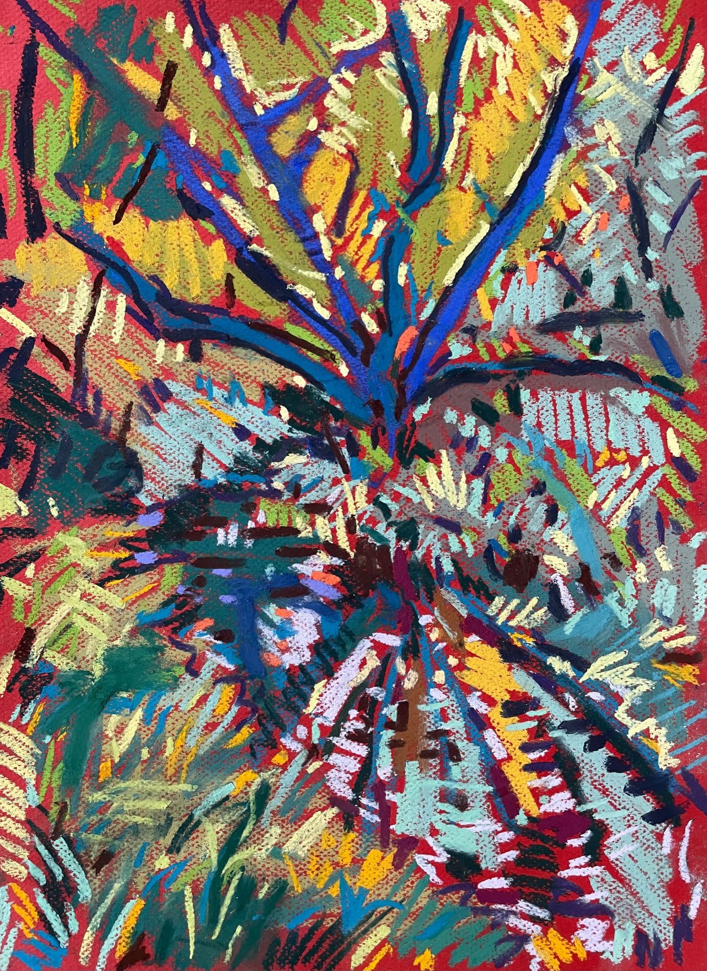 landscapes — Amy Shuckburgh