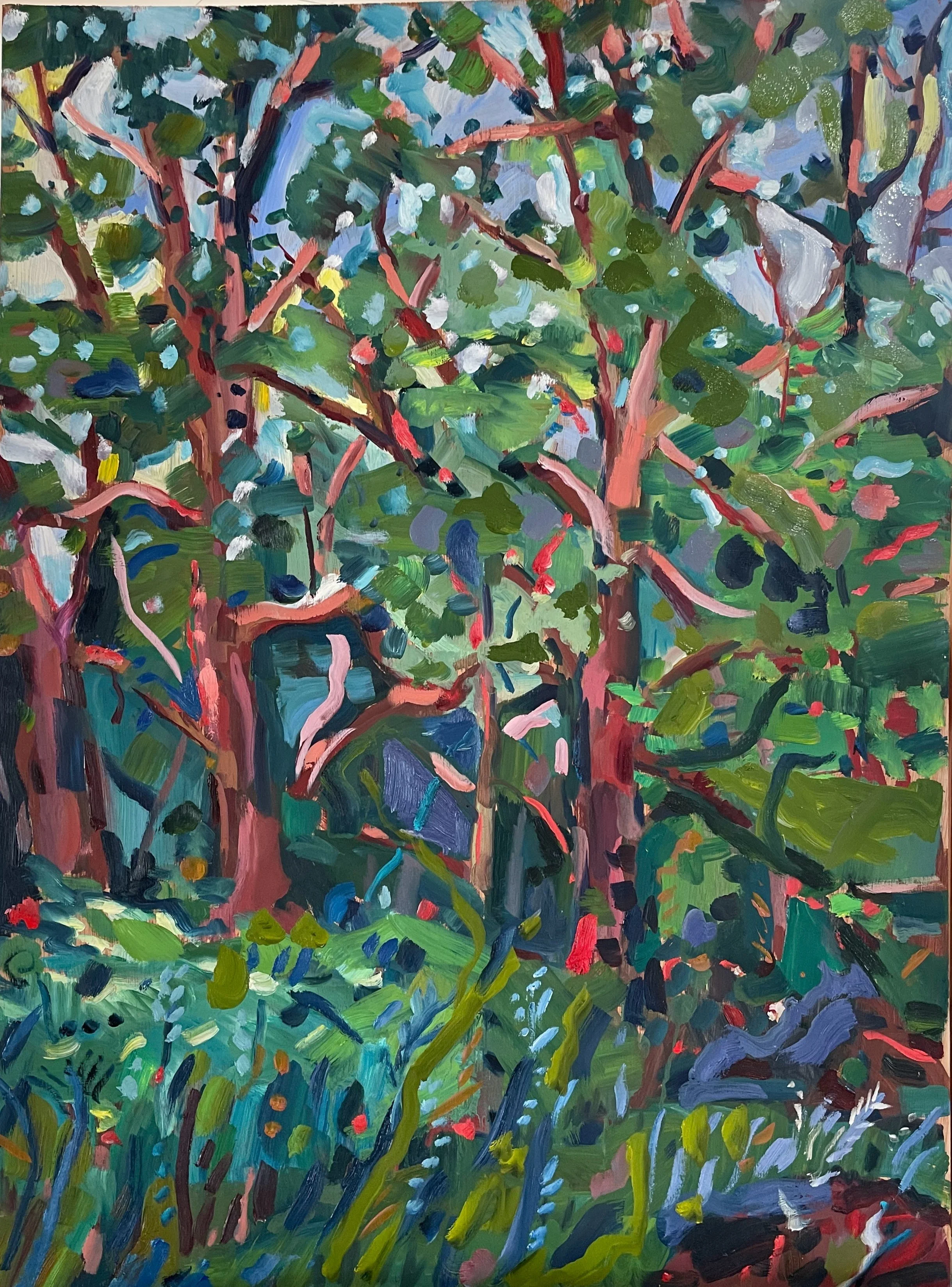 landscapes — Amy Shuckburgh