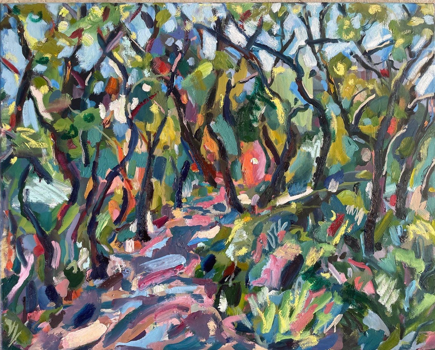 landscapes — Amy Shuckburgh