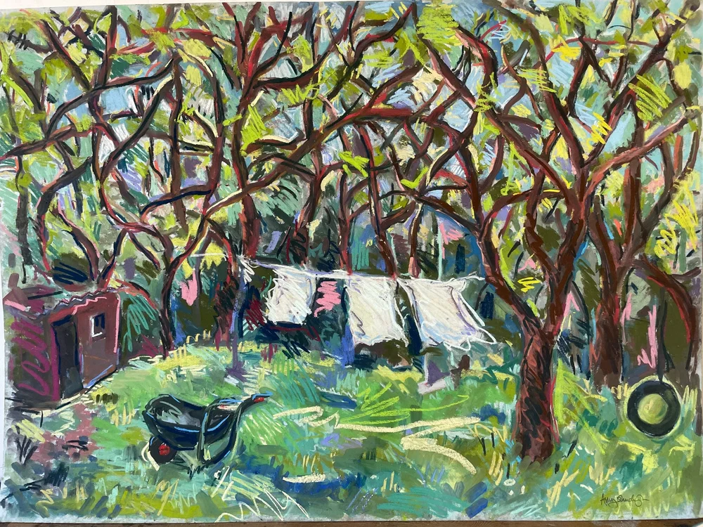 landscapes — Amy Shuckburgh