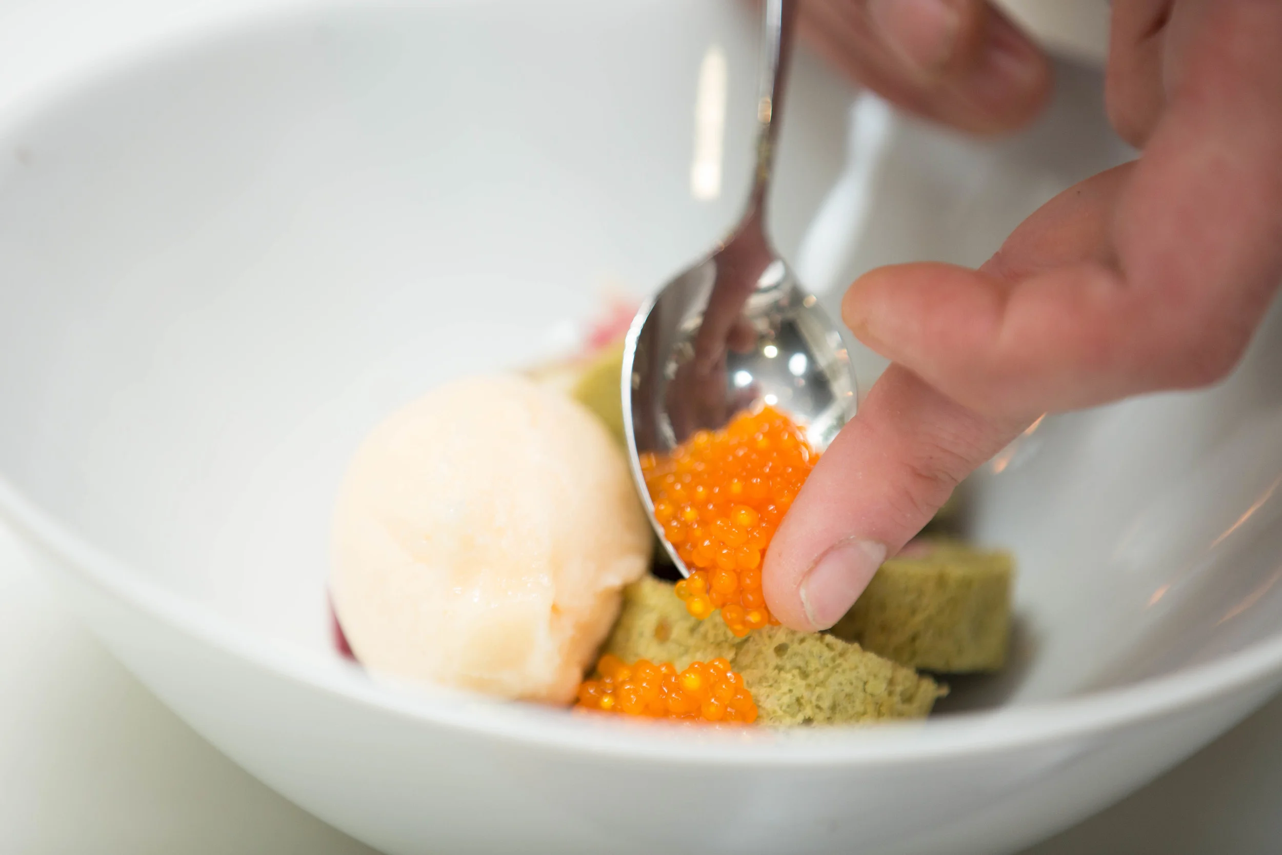 Jatoba — Mademoiselle Jules