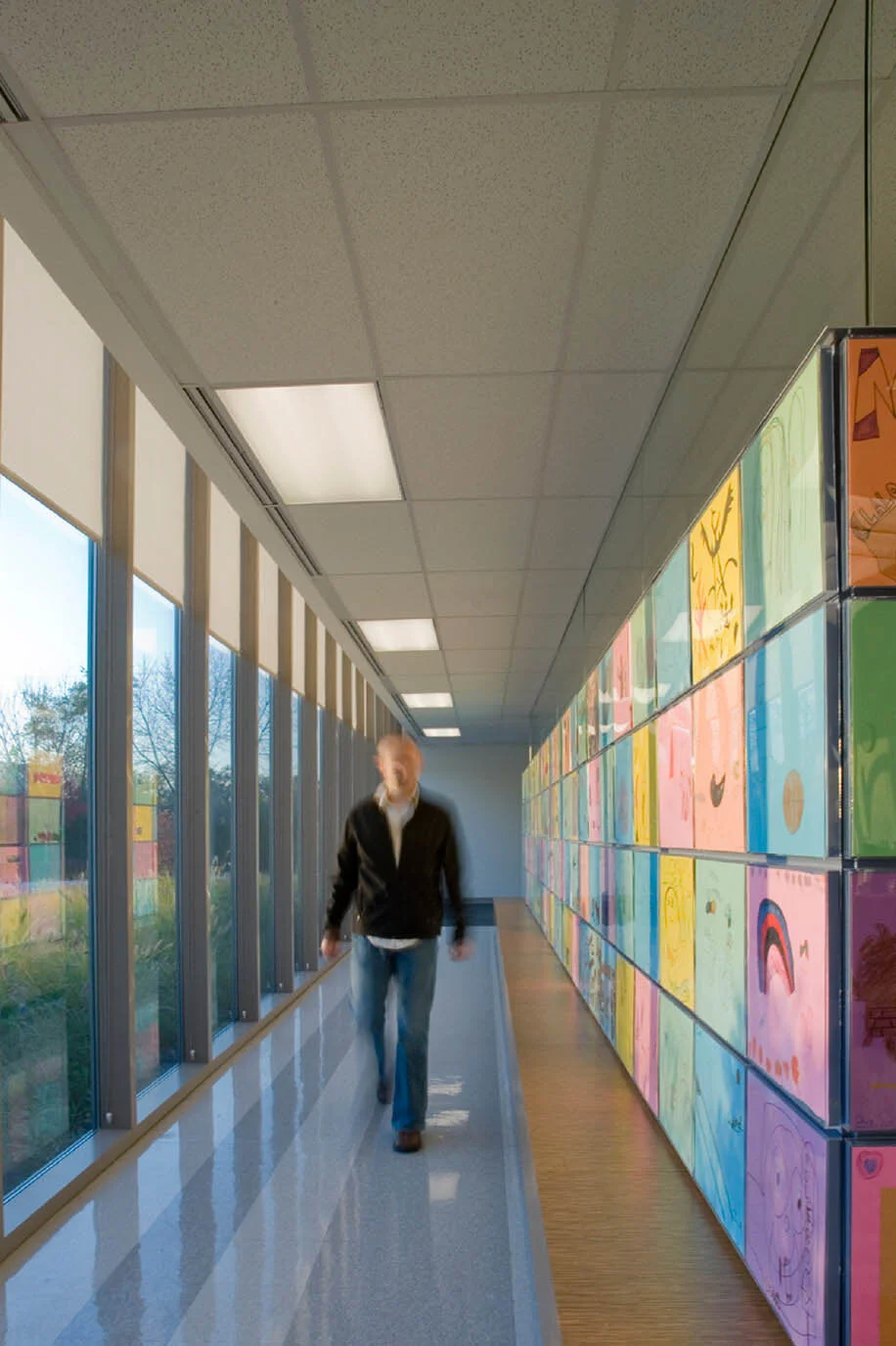 Cove School — Woodhouse Tinucci Architects