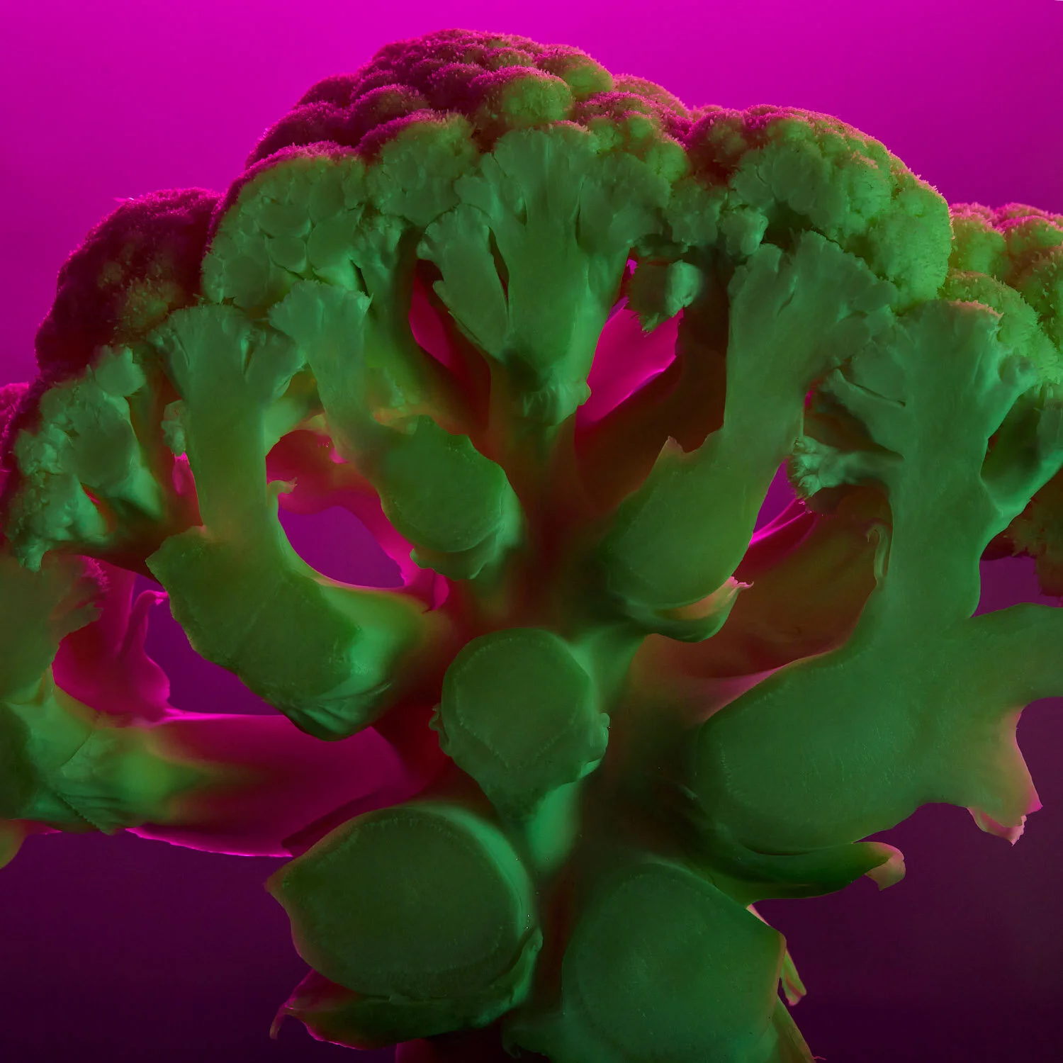 The Neon - Personal Project by Jiri Lizler — Jiri Lizler Photography