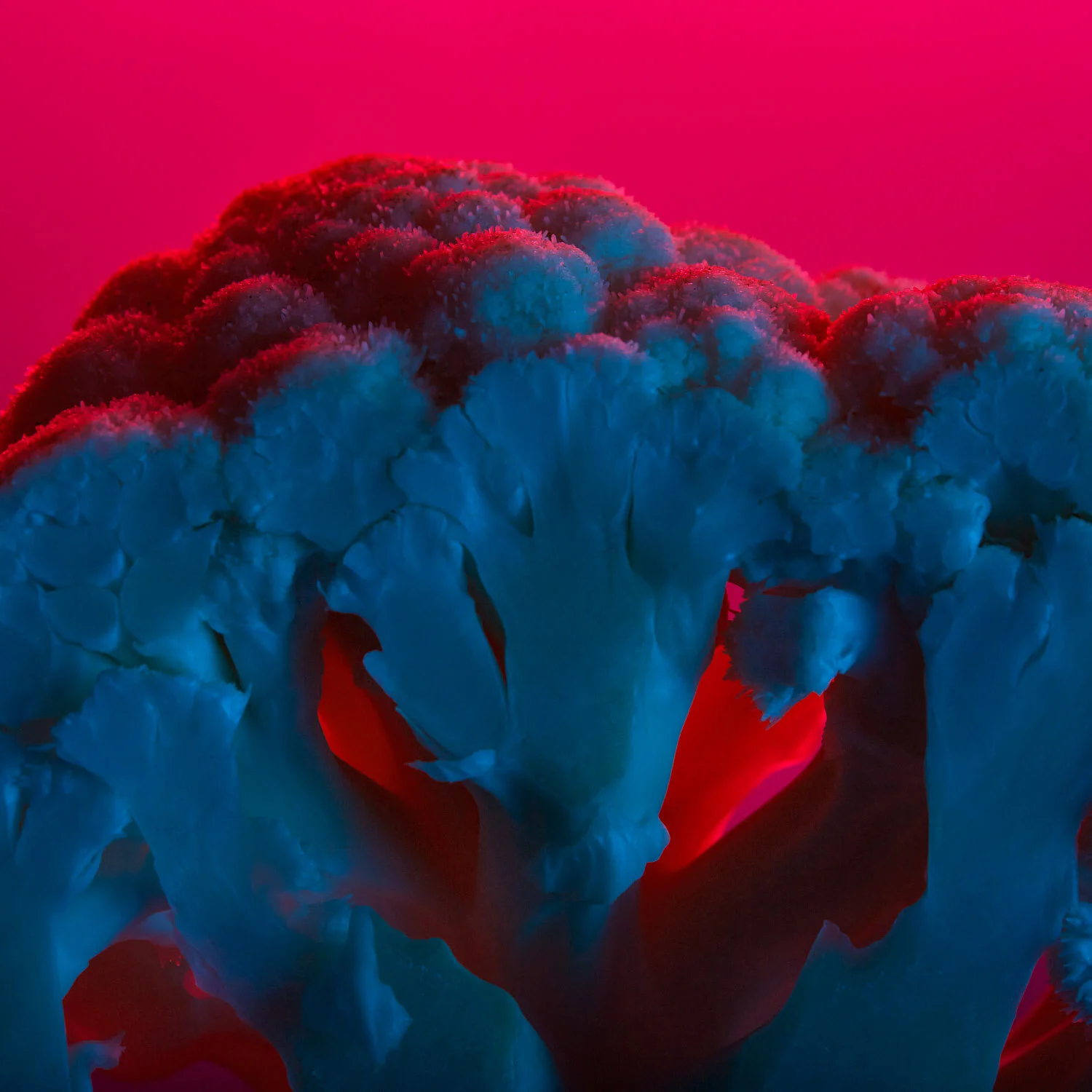 The Neon - Personal Project by Jiri Lizler — Jiri Lizler Photography