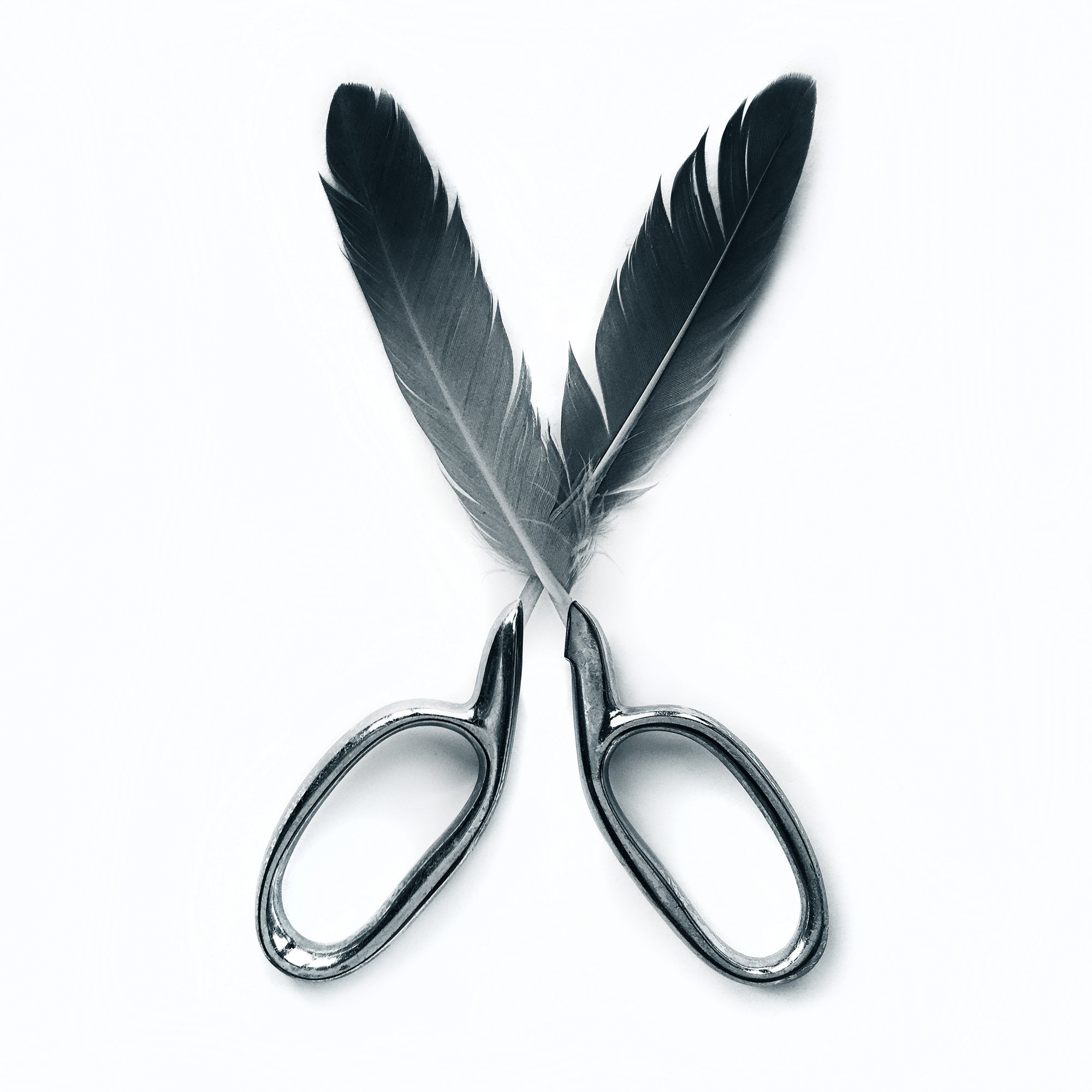 Carl Godfrey – Designer Artist