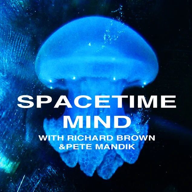 Space Time Mind