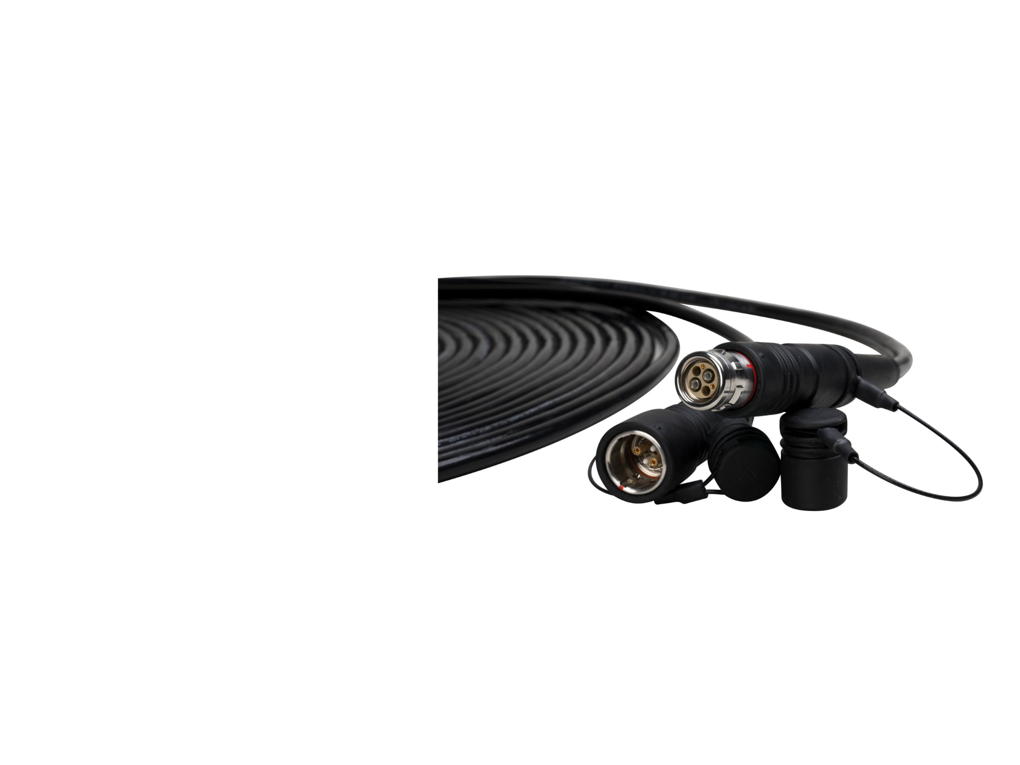 THE FIBER GUYThe Fiber Guy