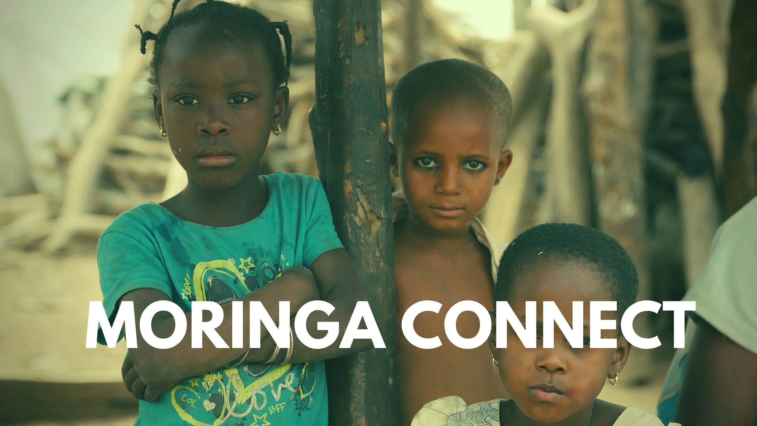 NGO | Document Global Stories — Sketch Films