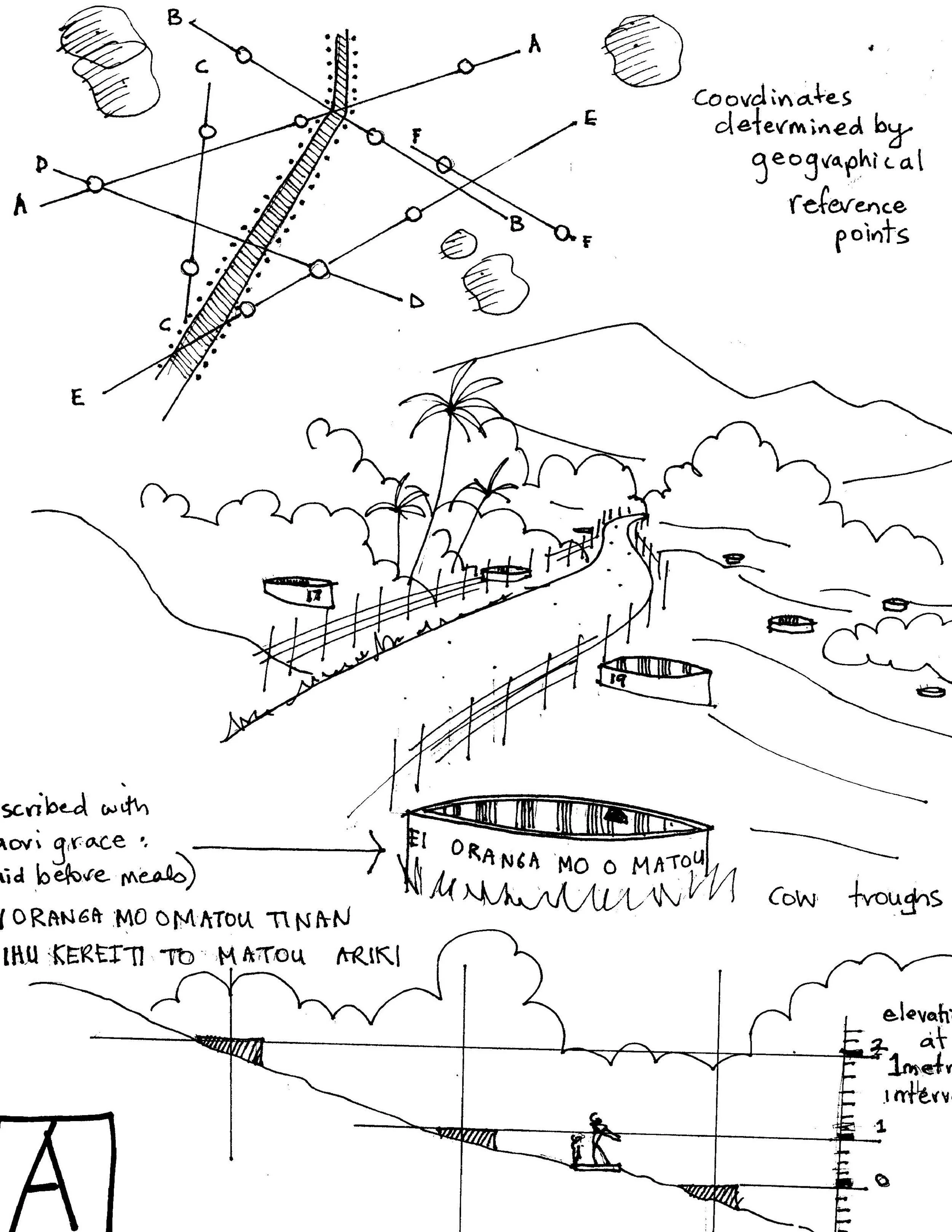 Matakana Walkway — BY ROD BARNETT