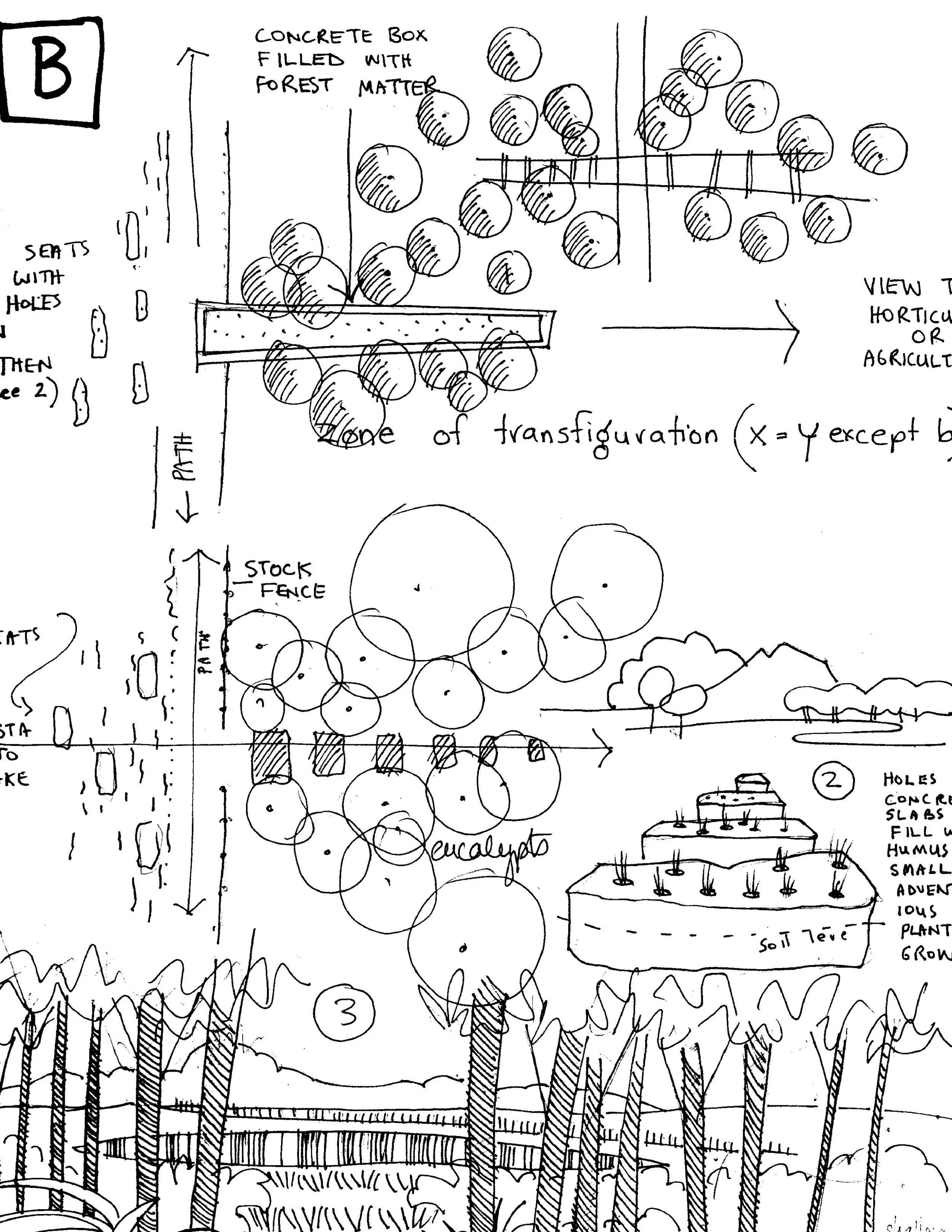 Matakana Walkway — BY ROD BARNETT