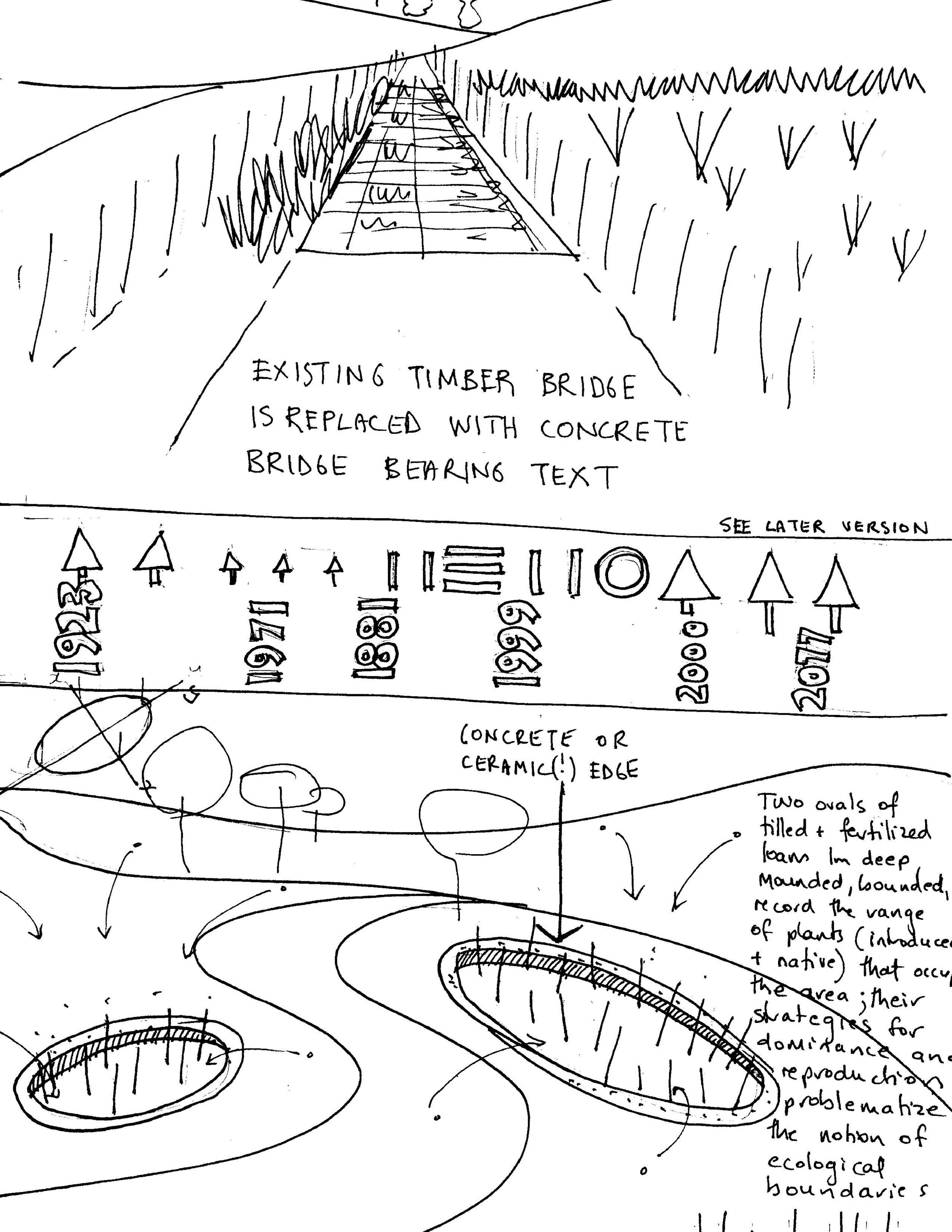 Matakana Walkway — BY ROD BARNETT