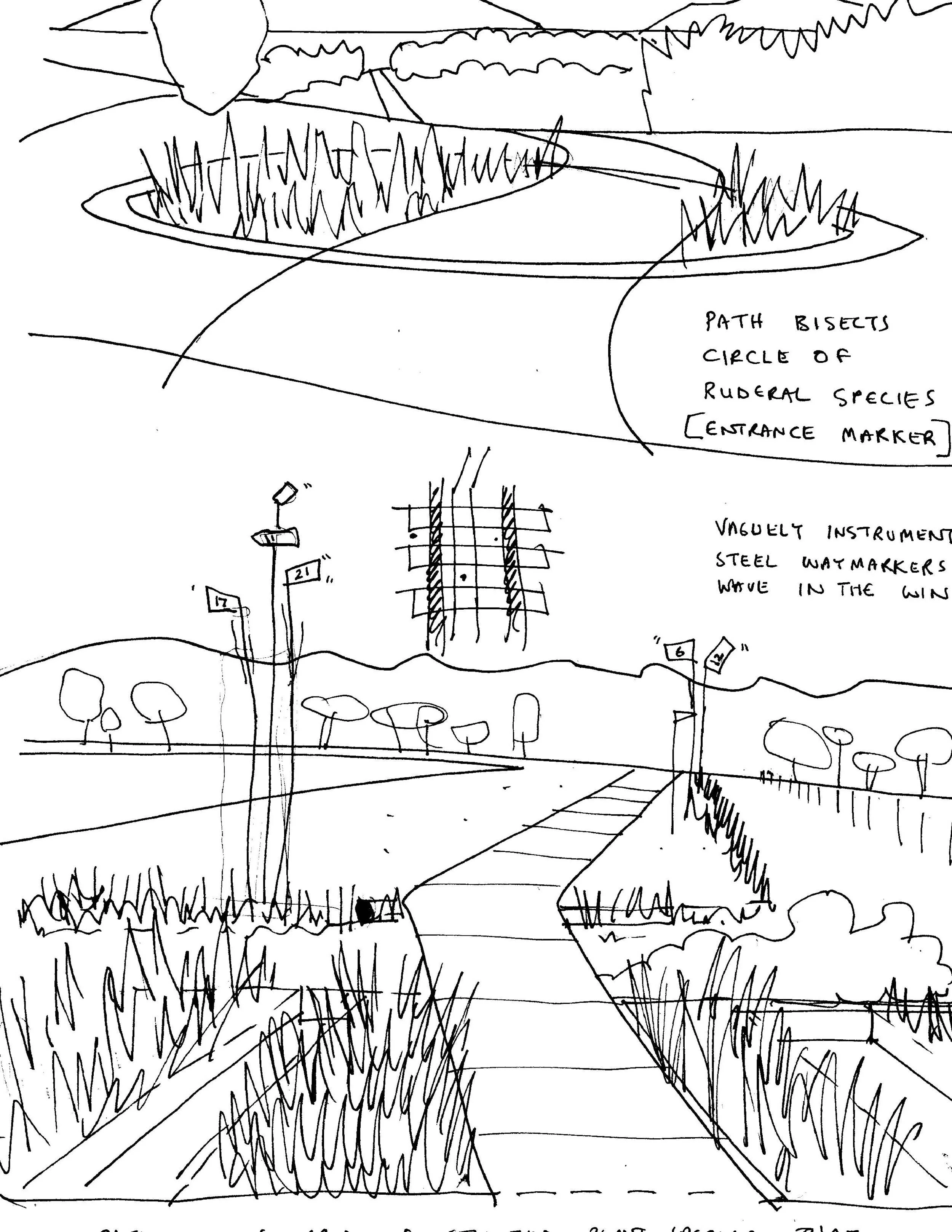 Matakana Walkway — BY ROD BARNETT