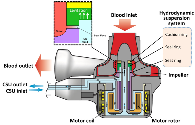 Rotary pump yet pulsatile