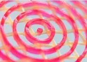 KIWOCOL SWR — KIWO Inc.