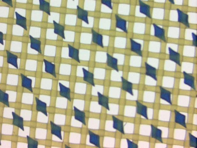 POLYCOL S — KIWO Inc.