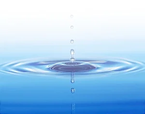 Screen Cleaning Products — KIWO Inc.