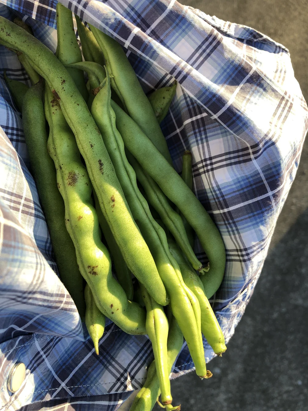 TennesseeFarmTable.com