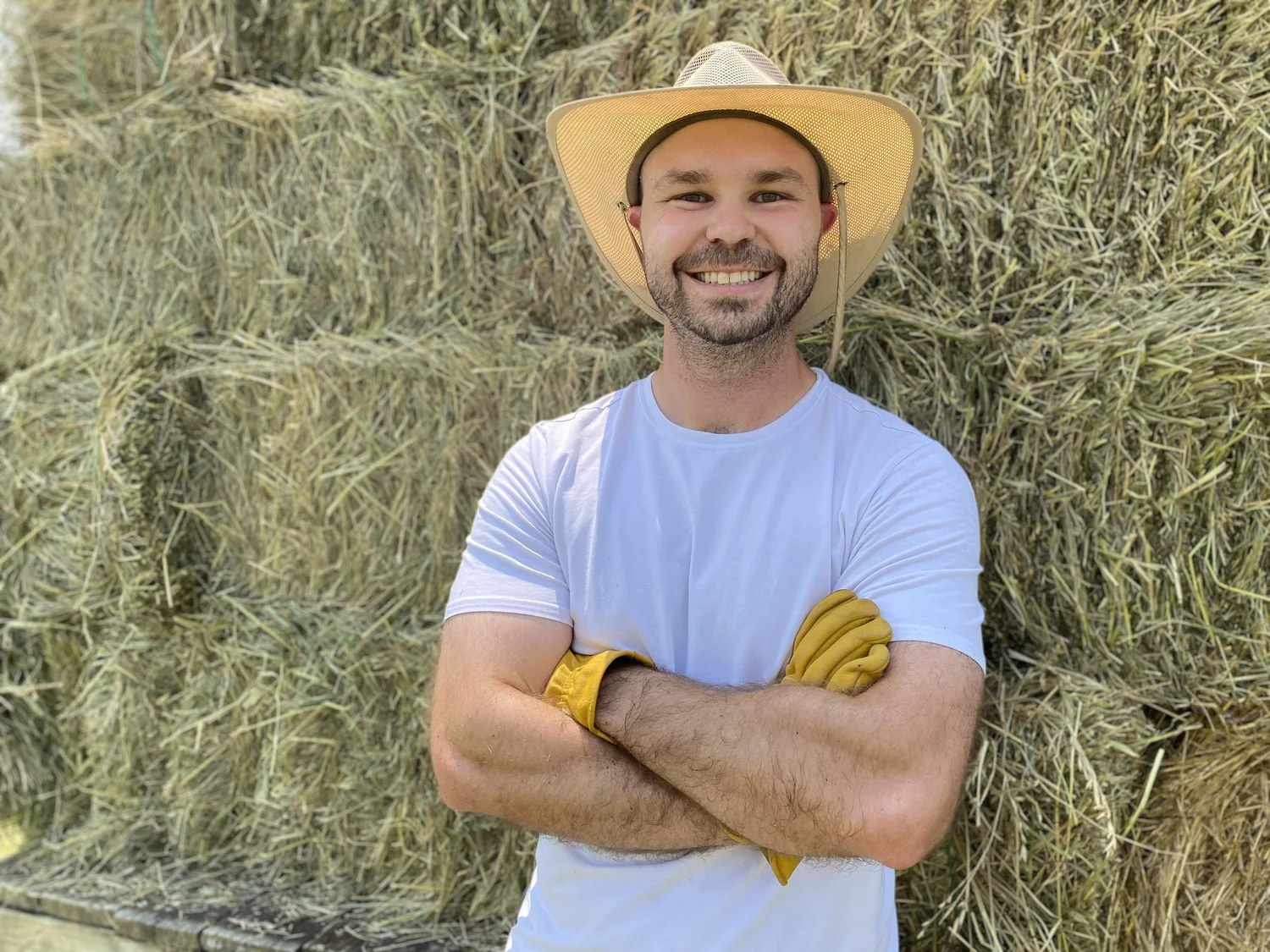 TennesseeFarmTable.com
