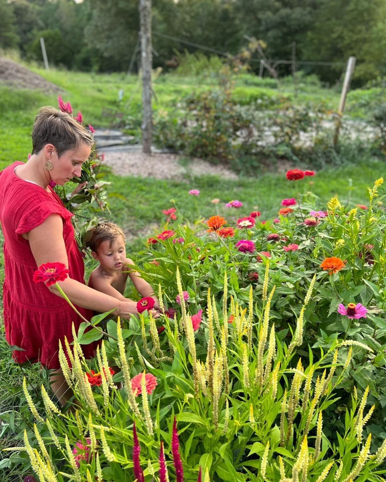 DSB Provisions. Dustin & Stacey Busby’s Family Farm, Maryville TN — TennesseeFarmTable.com
