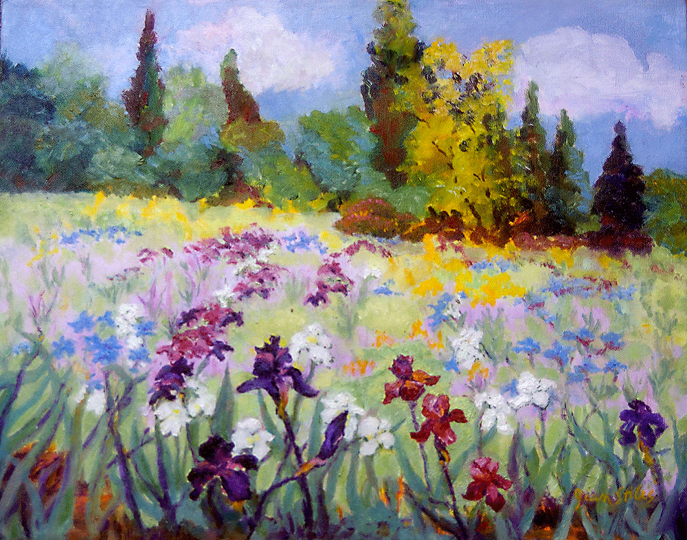 Jean Stiles — Gold Country Artists Gallery