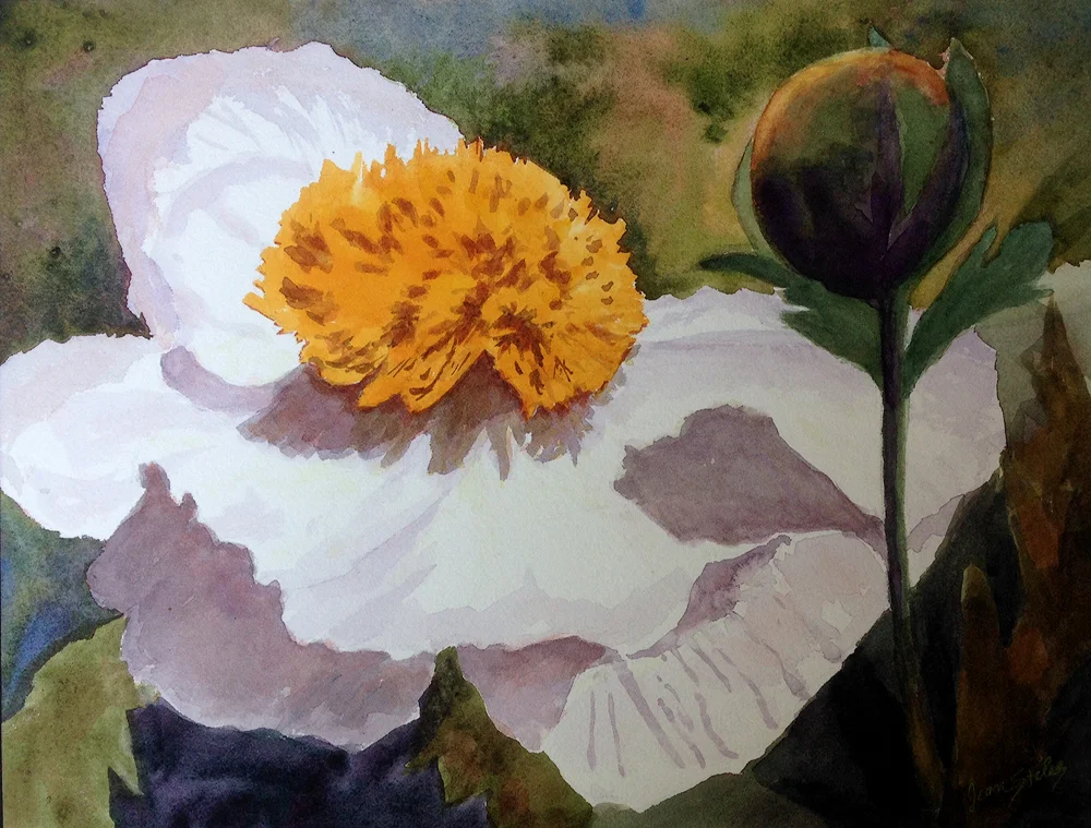 Jean Stiles — Gold Country Artists Gallery