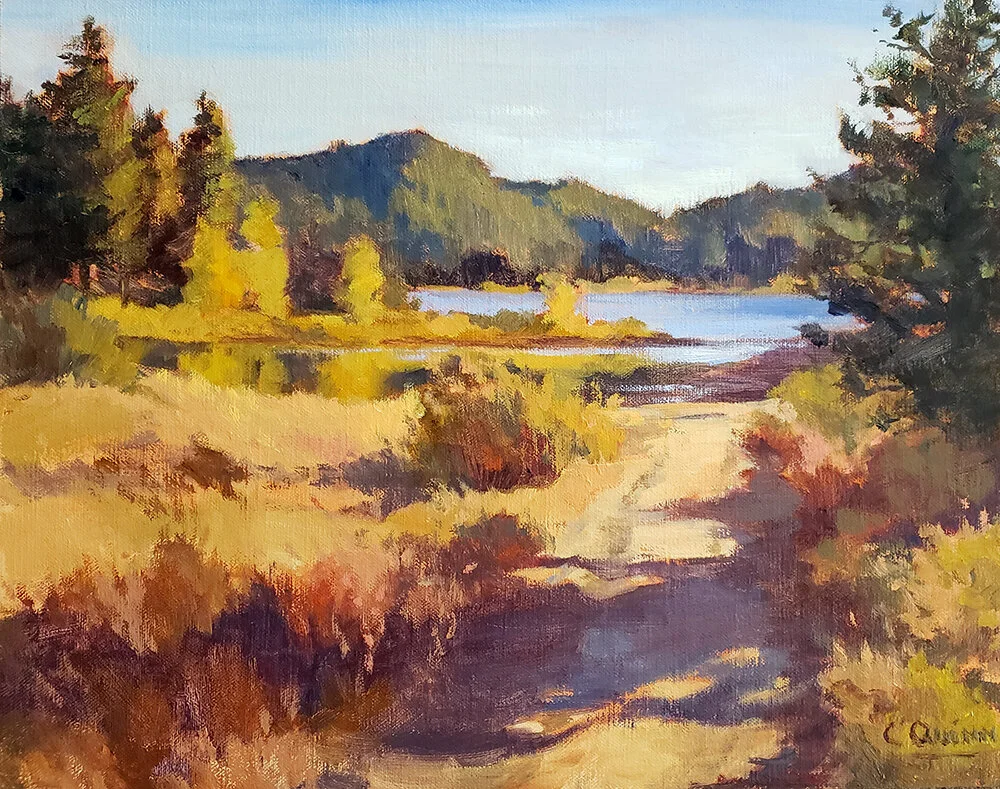 Carol Quinn — Gold Country Artists Gallery
