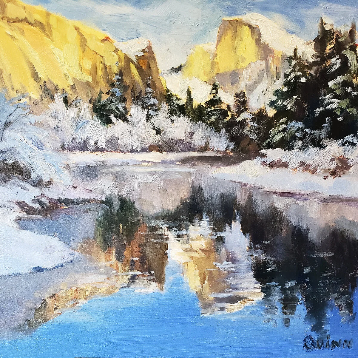 Carol Quinn — Gold Country Artists Gallery