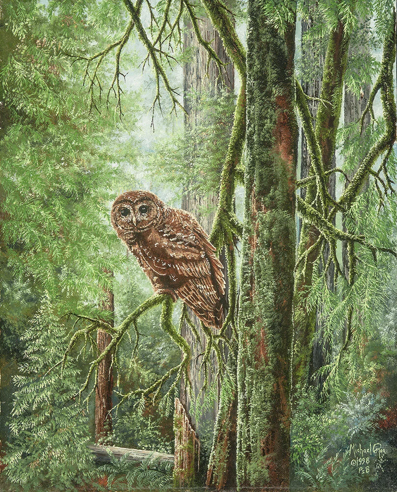 Michael Rea — Gold Country Artists Gallery